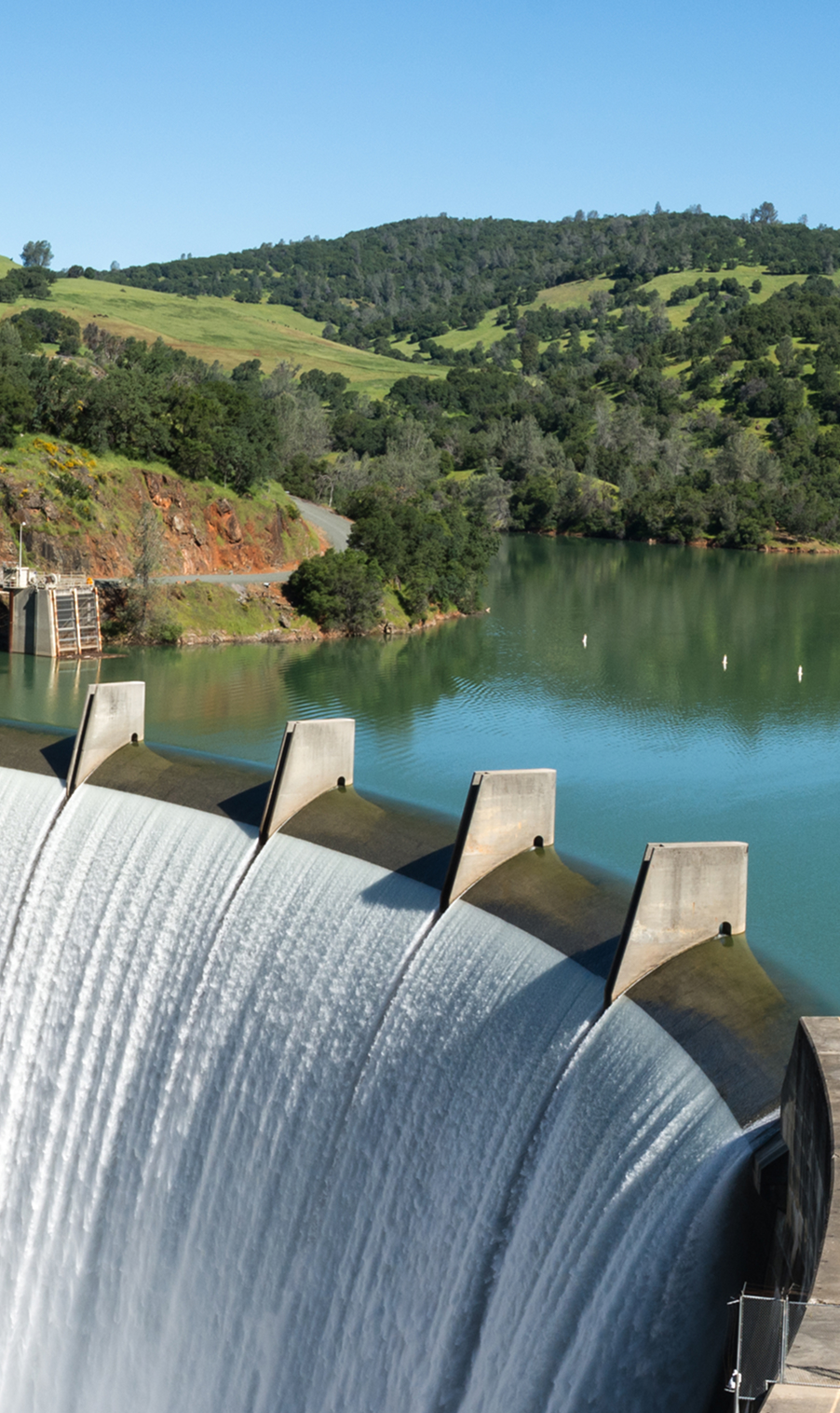 Atlantium Webinar | Aquatic Invasive Species (AIS) Alert